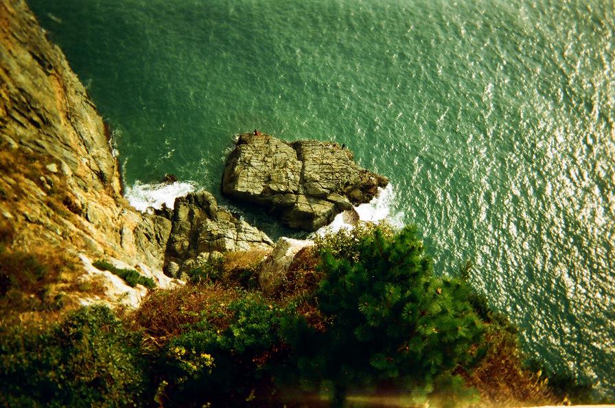 My Ninth Trip to Busan